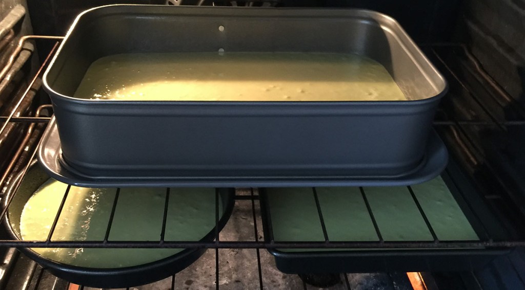 Alien Autopsy Cake to Celebrate the X-Files – Weekends in Maine