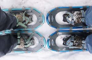 5 Things I Learned Snowshoeing at Sebago Lake State Park – Weekends in ...