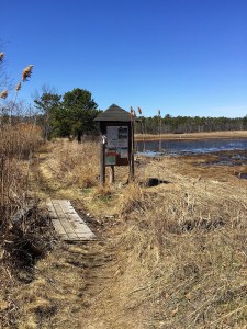 Maine Hikes | Saco Beach Loop Trail – Weekends in Maine
