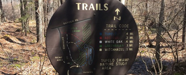 Maine Hikes | Saco Beach Loop Trail – Weekends in Maine