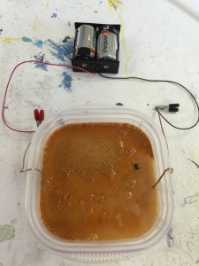 Artascope Studios | Saltwater Etching for Copper Class – Weekends in Maine