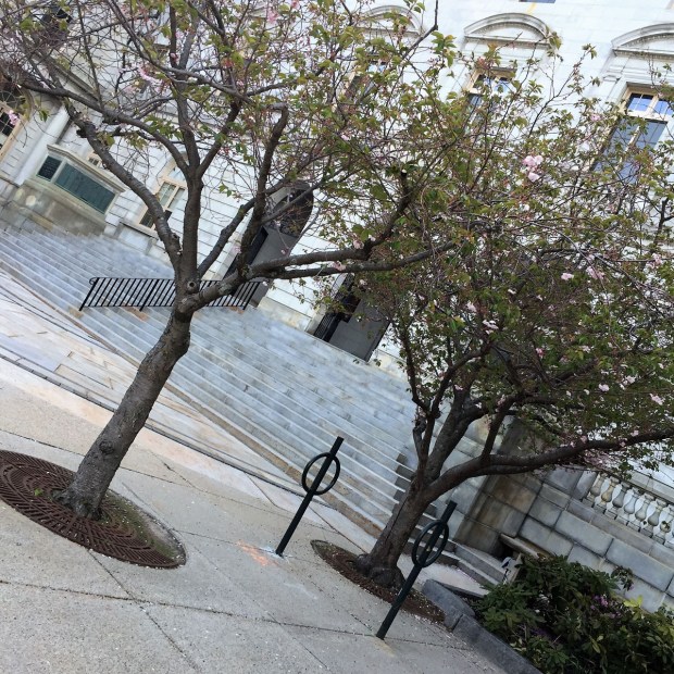 Laughter with Jerry Seinfeld at the Merrill Auditorium – Weekends in Maine