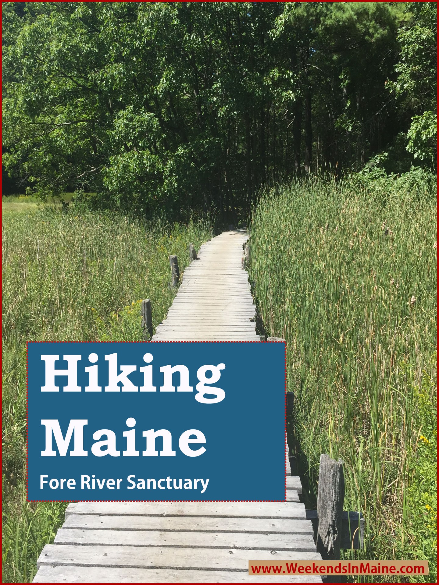Hiking Maine | Fore River Sanctuary & Jewell Falls – Weekends in Maine