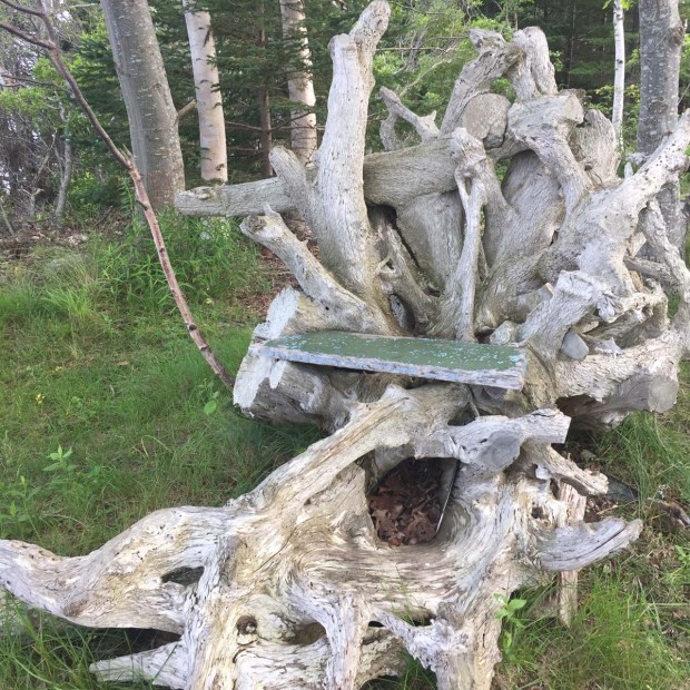 Cabbage Island Clambakes | A True Maine Experience – Weekends in Maine
