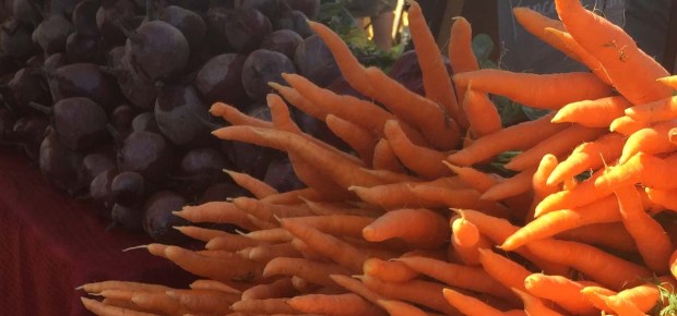 Ten things I learned on my first trip to the Common Ground Country Fair ...