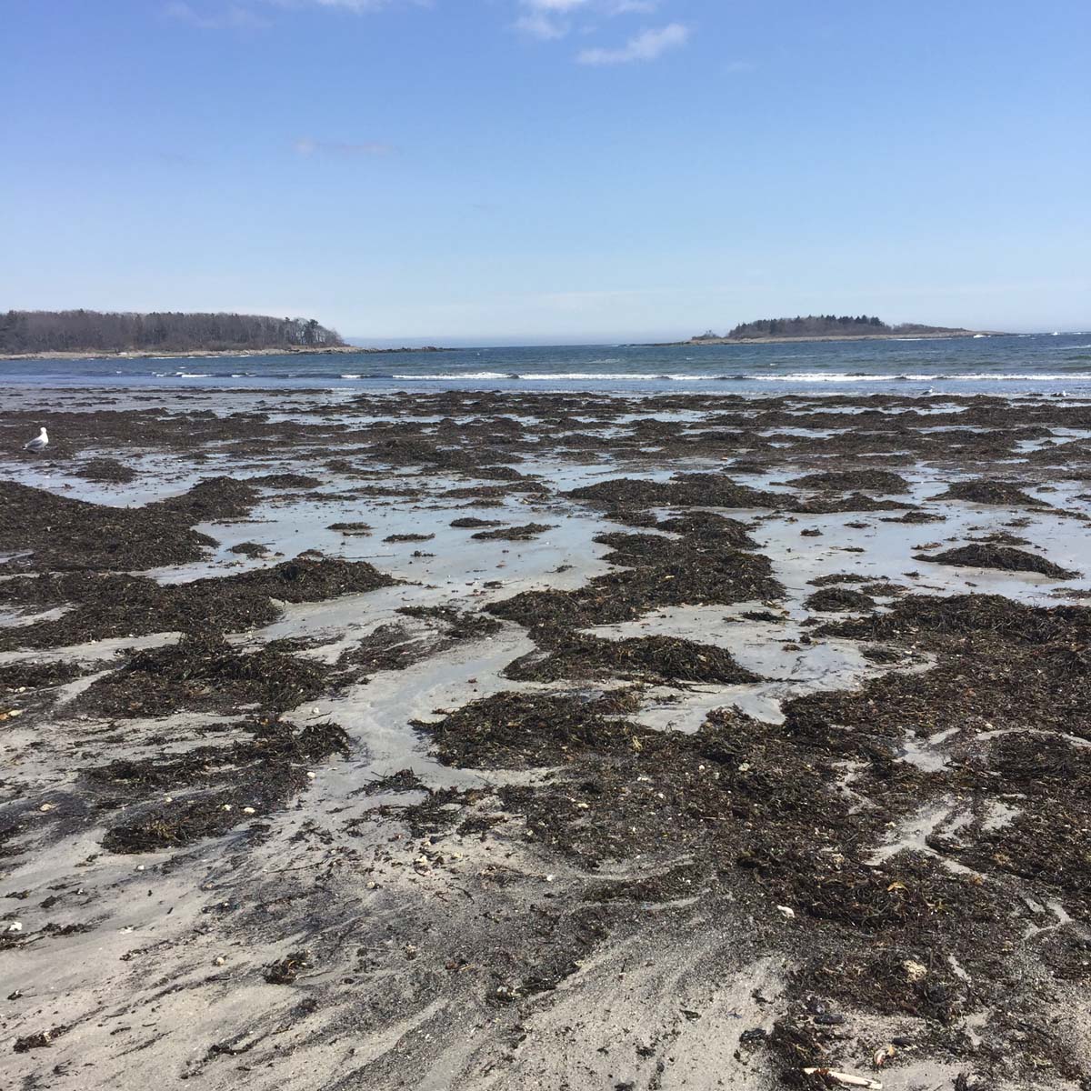 Goose Rocks Beach (6) – Weekends in Maine